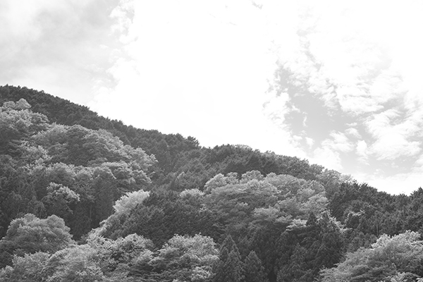 Grad ND | Premium | PENTAX K-3 Mark III Monochrome | RICOH IMAGING