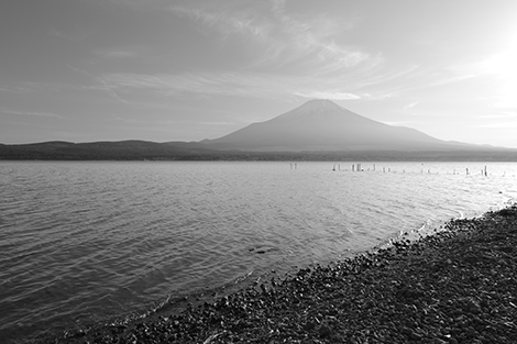 Grad ND | Premium | PENTAX K-3 Mark III Monochrome | RICOH IMAGING