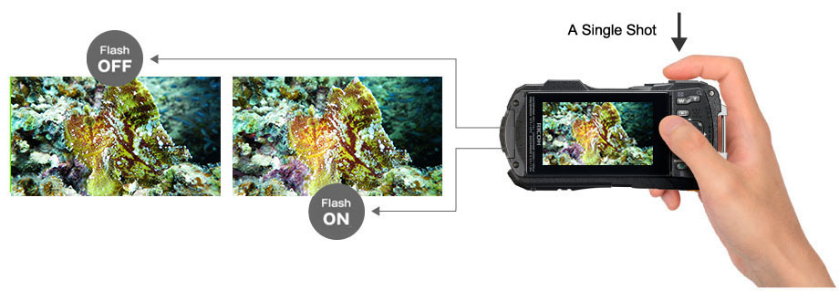 Feature | WG-70 | RICOH IMAGING Feature | WG-70 | RICOH IMAGING