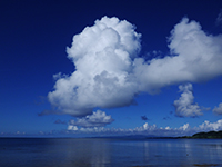 Sample Images | WG-90 | RICOH IMAGING